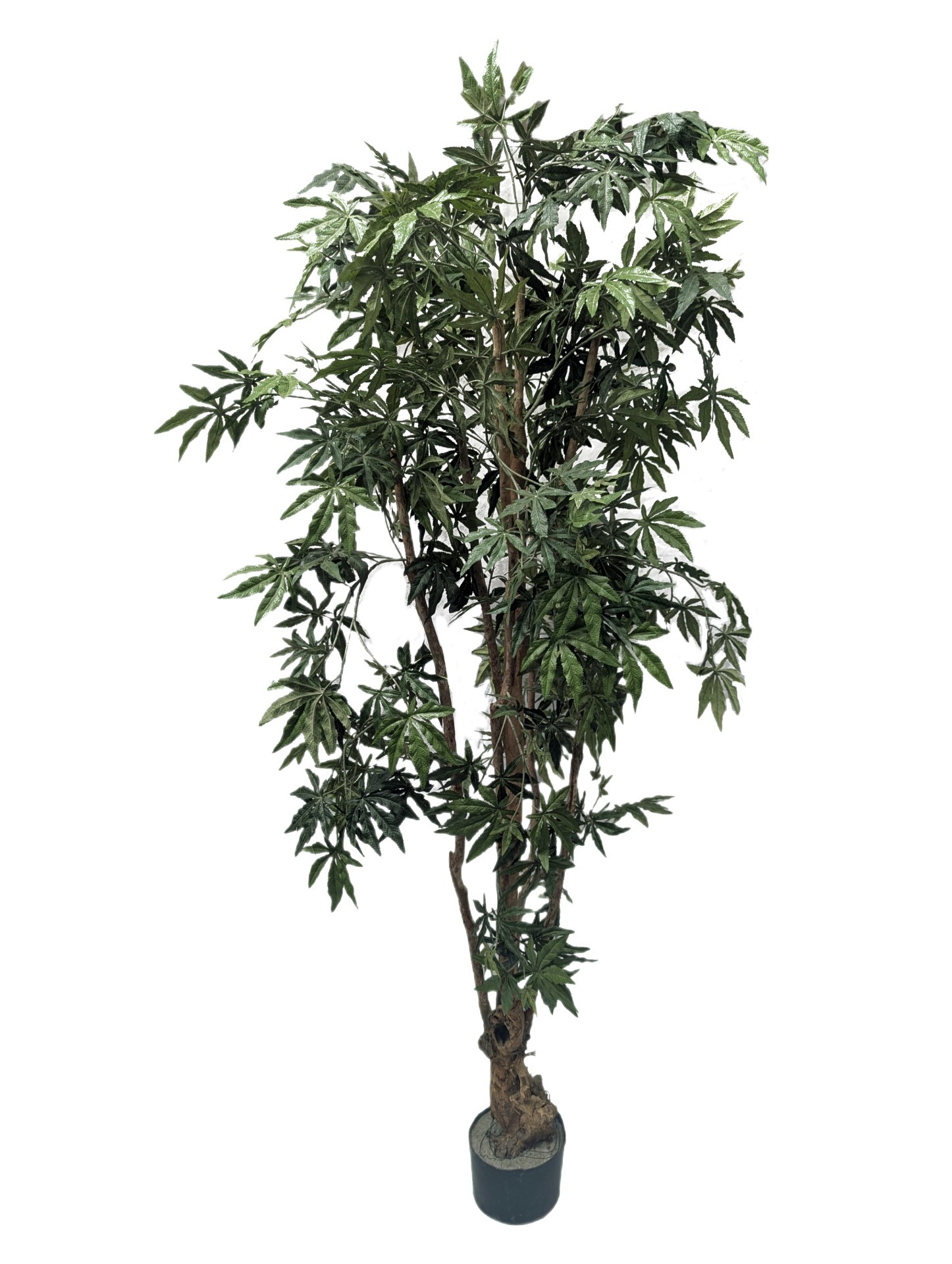 7510026 Plastic Japanese Maple Tree - Stockyard North